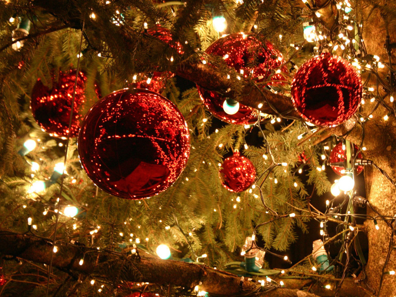 有關聖誕節的 6 個冷知識 (BOLDBOX)