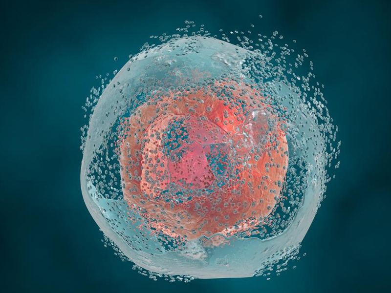 S: 驚人發現！維生素讓癌細胞自我爆炸 (BOLDBOX)