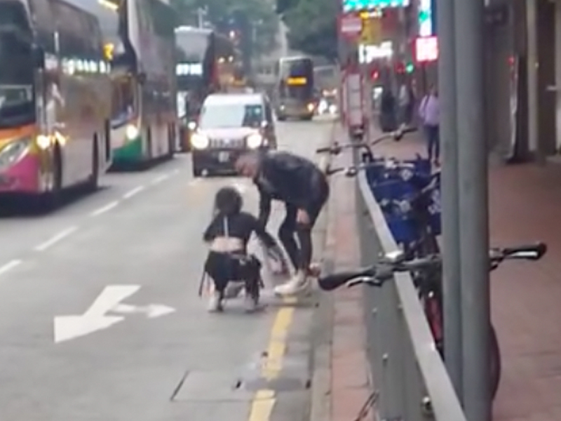 R: 醉漢情侶聖誕馬路 MMA (BOLDBOX)