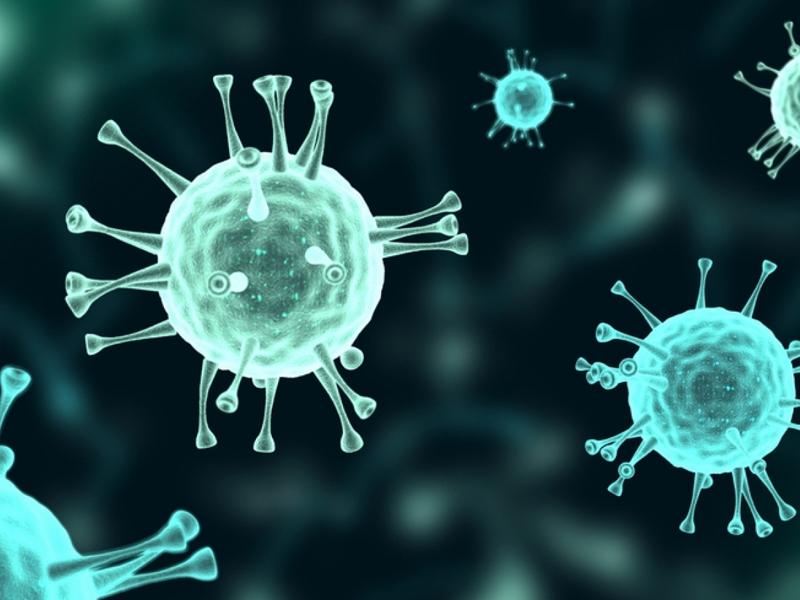 S: 廣東 1542 確診，無疫苗可預防 (BOLDBOX)